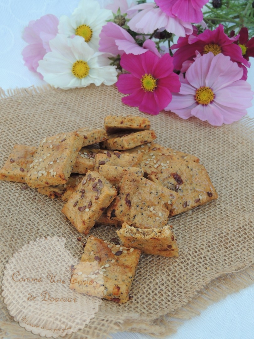 Crackers au fromage – Cheese crackers’ – Comme une envie de douceur